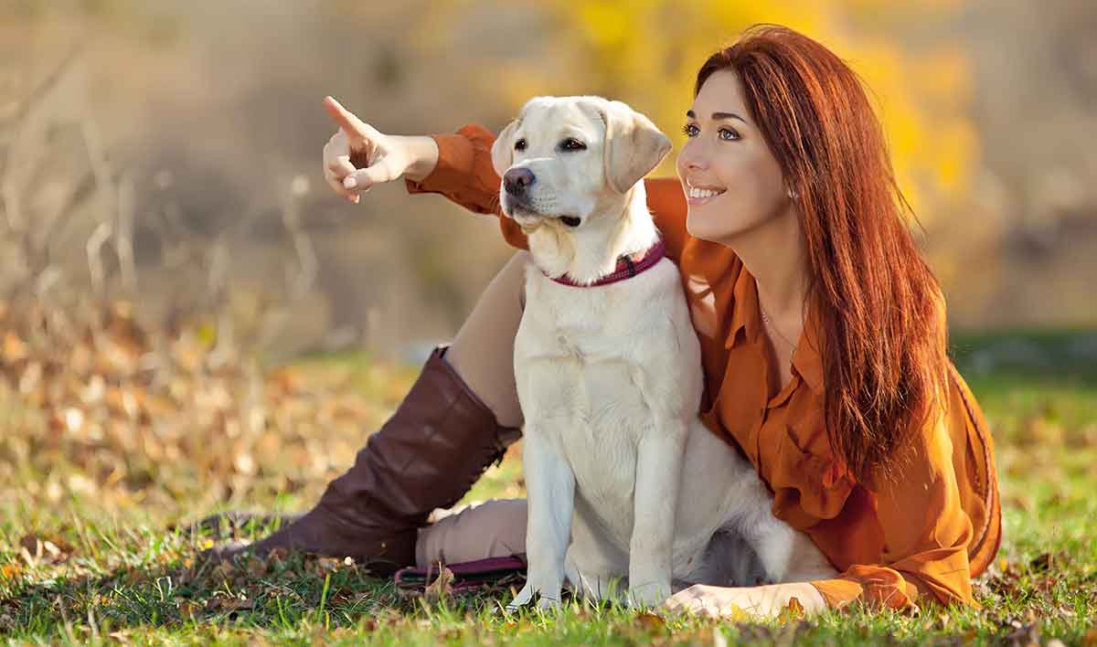 Could You Be Your Dog's Best Teacher? - dogsnet.com